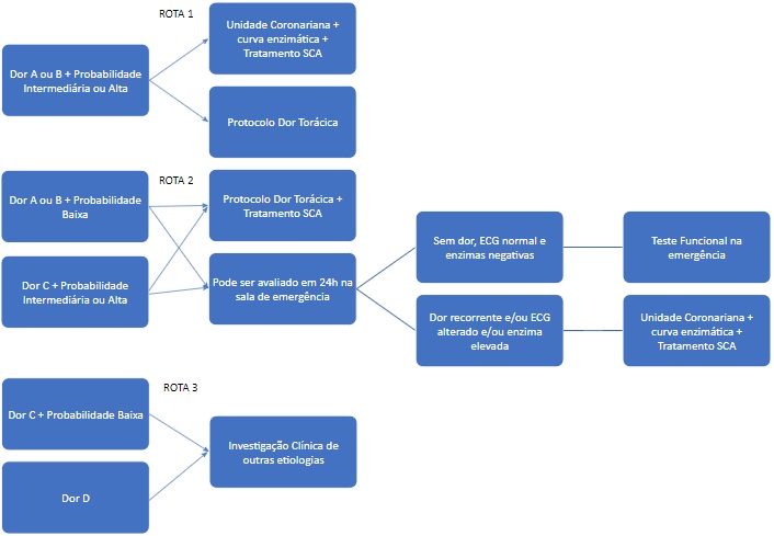 Dor precordial na sala de emergência: conceitos avançados - Portal Afya