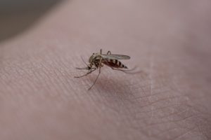 Sociedade Brasileira de Pediatria atualiza recomendações sobre o ...